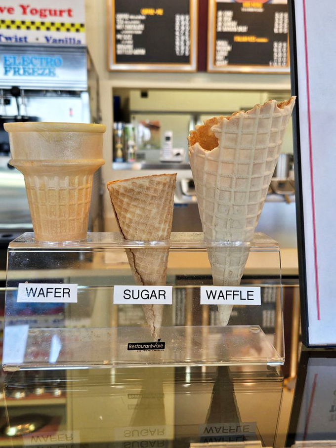 The cone trinity: wafer, sugar, and waffle&mdash;each a unique vessel for frozen delights, each waiting for you to make the most important decision of your day.