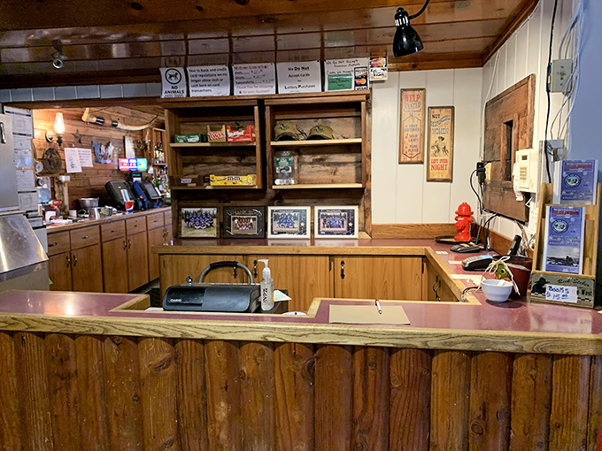 The mounted sailfish presides over smaller critters with a sign that reads "PLEASE DO NOT FEED THE ANIMALS" &ndash; sage advice for taxidermy appreciation.