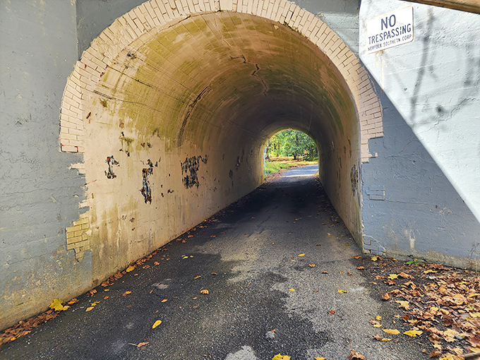 Brick and concrete tell no tales. The tunnel's weathered interior has absorbed decades of whispers, screams, and urban legends.