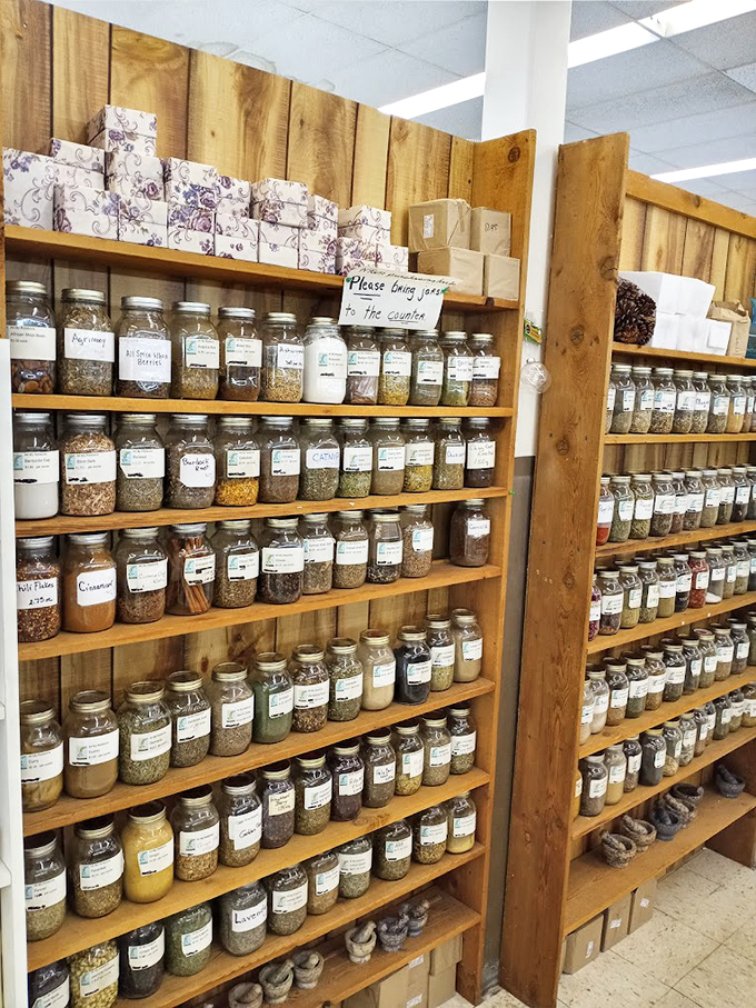 Apothecary heaven! These neatly labeled jars contain herbs and botanical elements for those who prefer their wellness regimen with a touch of wizardry.