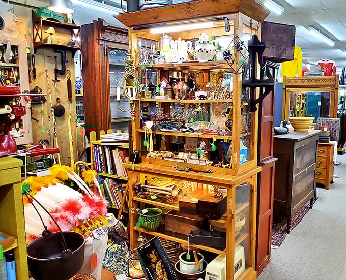 A cabinet of curiosities that Marie Kondo would absolutely not approve of—and that's precisely why it's wonderful. Every shelf tells a different story.