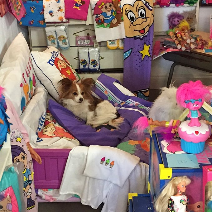 Even the canine visitors seem mesmerized by the troll-centric surroundings. This pampered pooch, lounging on a troll-themed bed, has clearly embraced the "live your best troll life" philosophy.