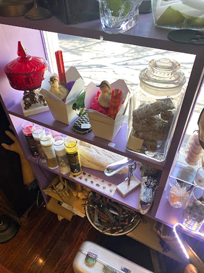 This unsettling vintage stuffed animal lounges atop a display case like it owns the place. Sleep tight, don't let the… whatever that is bite.