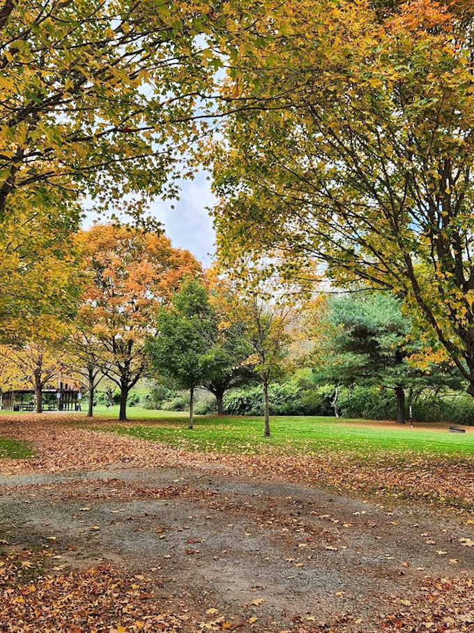 Autumn transforms the park into nature's color palette &ndash; like someone spilled the world's most beautiful box of crayons across the landscape.