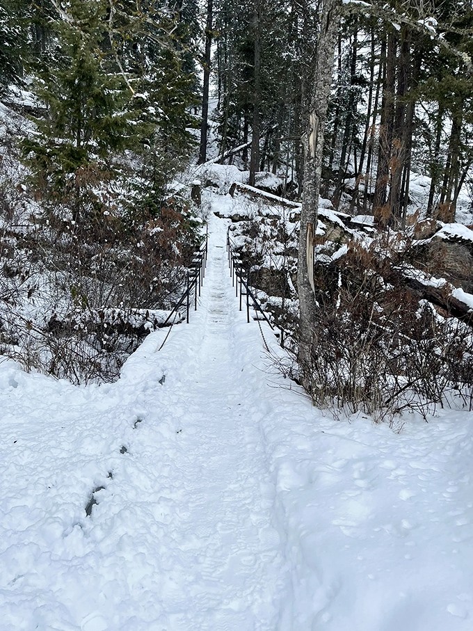 Winter transforms Tubbs Hill into a serene wonderland. Snow-covered paths create the perfect backdrop for contemplative walks and whispered conversations.