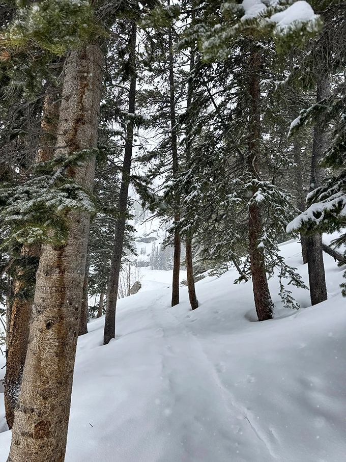 Winter transforms Bear Lake into a hushed wonderland of white. Snow turns casual hikers into explorers and every step into a small adventure.