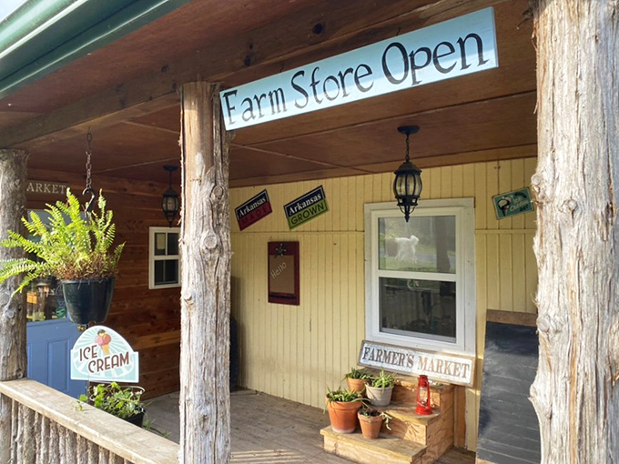 The farm store where "shopping local" means approximately 50 feet from where everything was grown. Ice cream included&mdash;because farming builds an appetite!