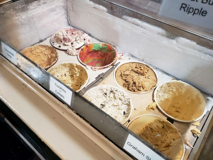 The display case&mdash;a gallery exhibition where every flavor is the masterpiece and you're the fortunate curator.