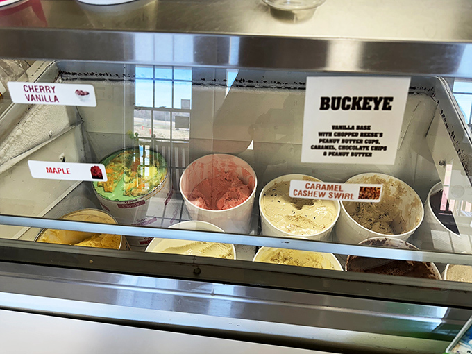 The display case &ndash; a frozen museum where each flavor is a masterpiece waiting for its moment in the spotlight.