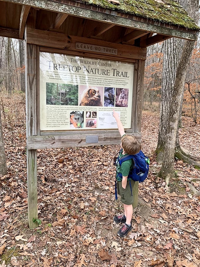 Curiosity knows no age limit&mdash;young explorers often spot details that rush-hour adults miss in their hurry to "complete" the trail.