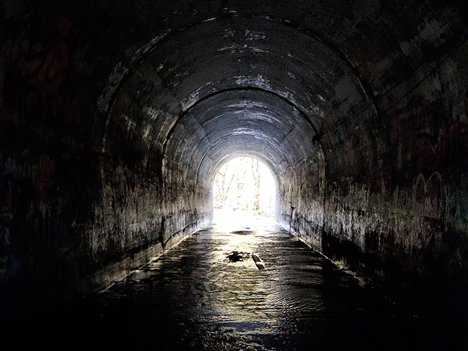 The long walk through feels longer with each step. What waits in the middle where daylight from either end can't quite reach?
