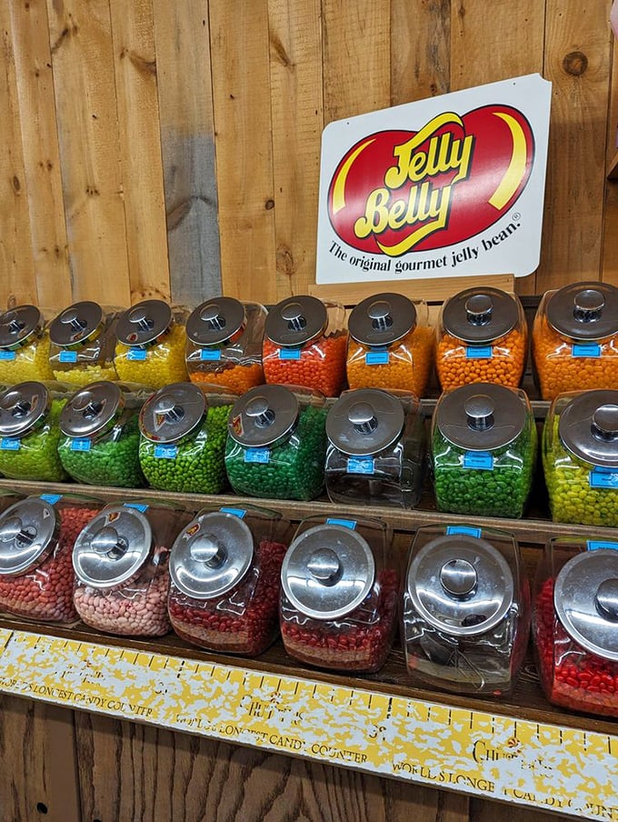 The Jelly Belly section&mdash;a kaleidoscope of tiny flavor bombs. Every color of the rainbow, organized with the precision of a candy scientist.
