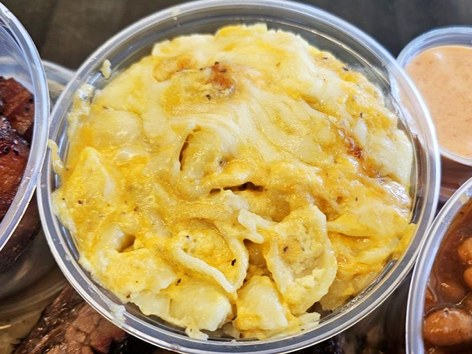 Mac and cheese that refuses to be a mere side dish, demanding equal billing with a creamy, golden presence that haunts dreams.