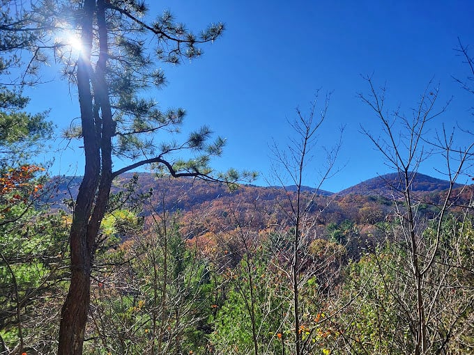 Blue skies frame autumn's palette with perfect contrast. The mountains seem to say, "Take a picture, it'll last longer"—so we did.