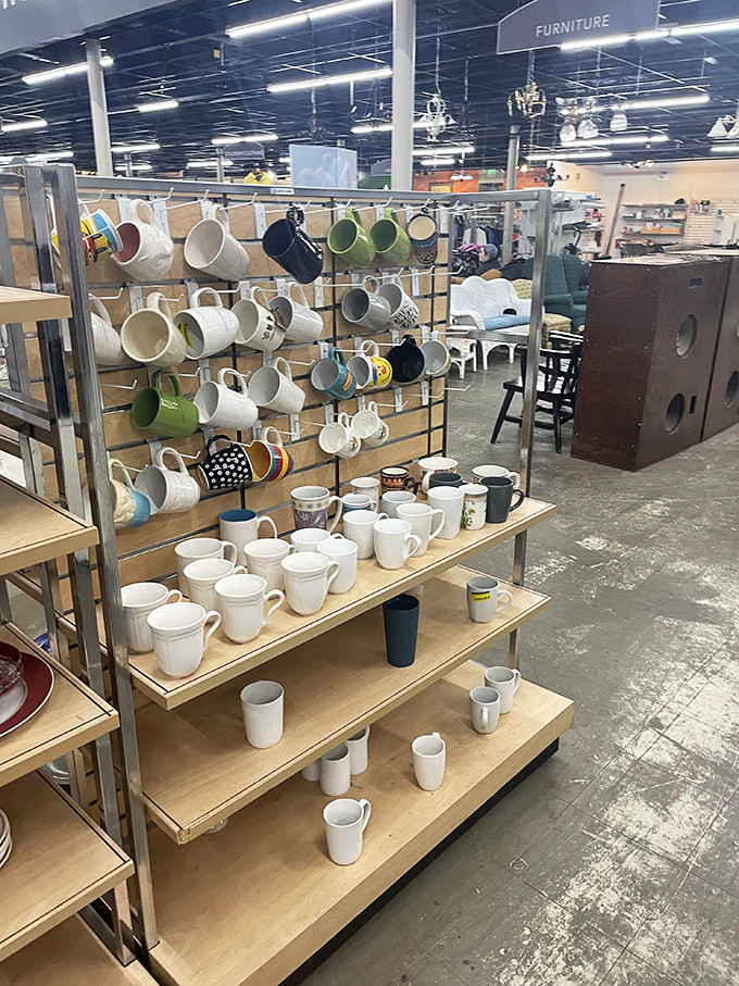 Mug collectors, brace yourselves! This caffeinated cornucopia offers vessels for your morning brew in every imaginable shape, size, and sentiment.