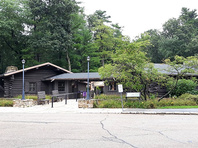 The White Pines Inn welcomes visitors with rustic charm that whispers, "Put down your phone and pick up a walking stick." Modern stress stops here.