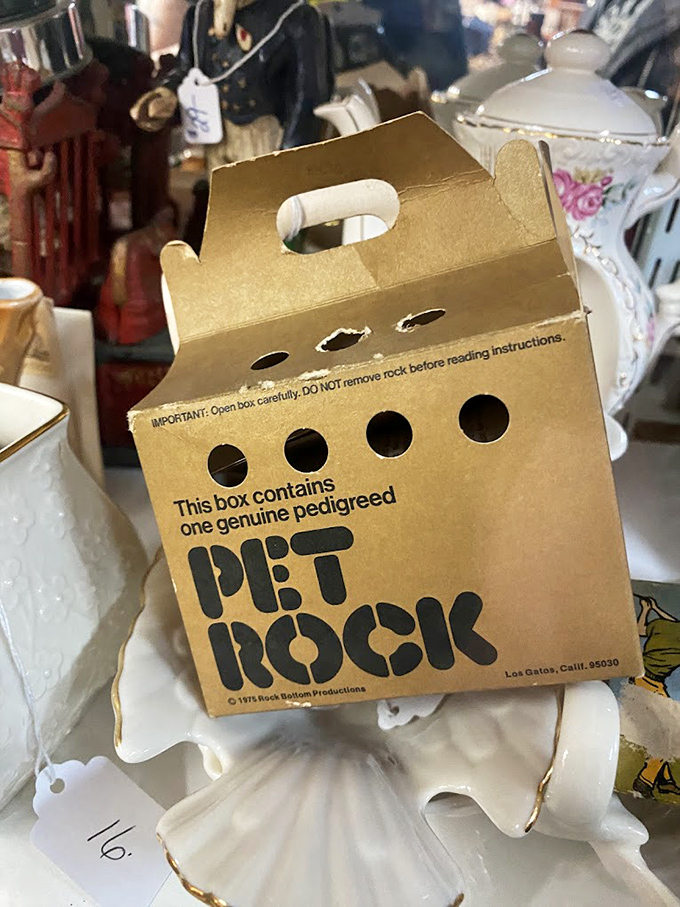The legendary Pet Rock in its original habitat&mdash;a cardboard carrier with air holes. The perfect low-maintenance pet from 1975 still requires no feeding.