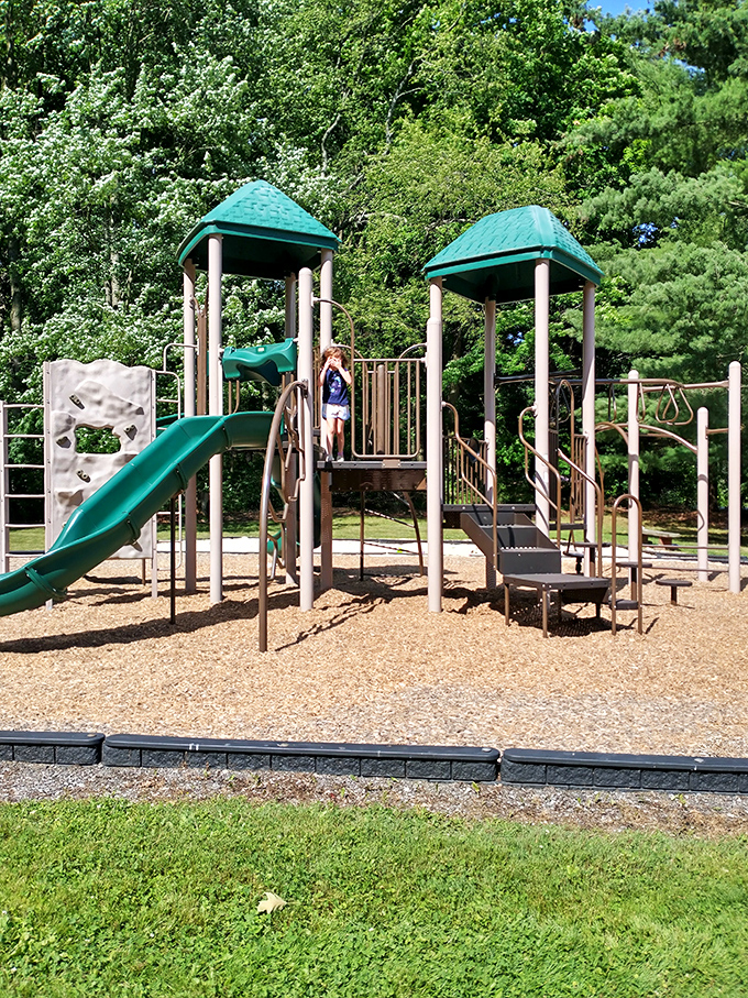 Archery range where weekend warriors channel their inner Robin Hood, usually missing targets but hitting the bullseye on outdoor fun. 