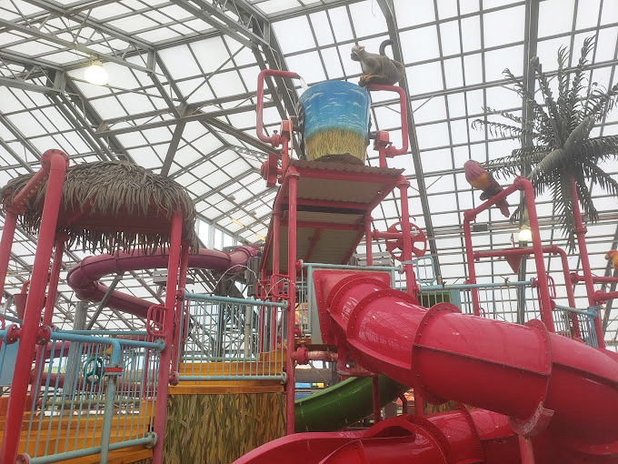 Tiki huts and palm trees in Oklahoma? The Water-Zoo brings tropical fantasies to life under a ceiling that captures sunshine year-round.