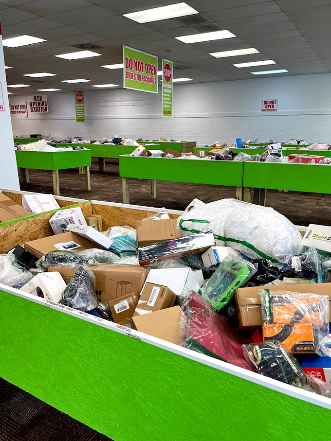 Dive into the organized chaos of Kool Bins' famous green containers. Each one a potential gold mine of household items you never knew you needed.