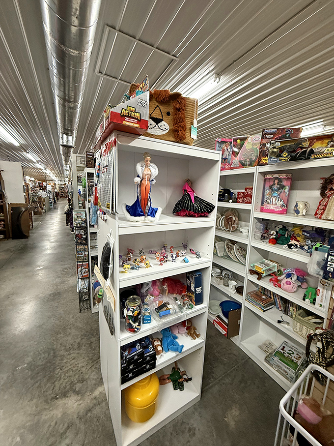 Vintage toys and collectibles arranged with care, where childhood memories are stacked neatly on shelves waiting for their next adventure. 