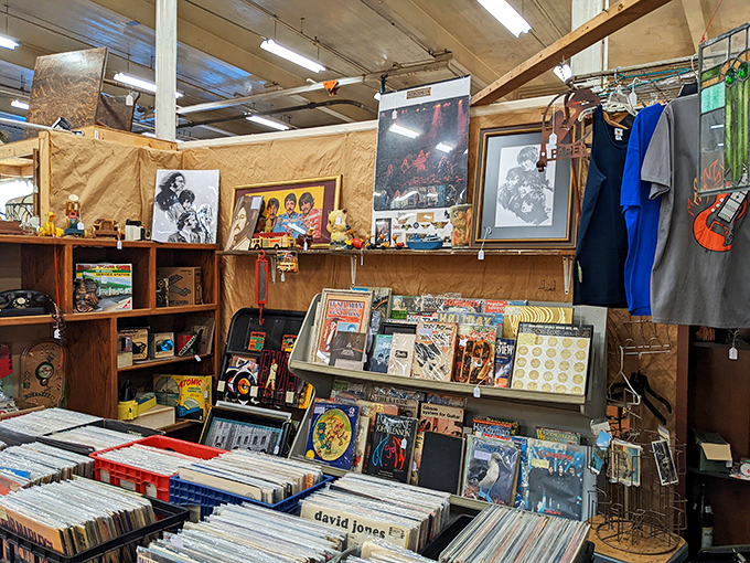Record collectors, rejoice! This vinyl wonderland offers the tactile joy of flipping through albums while hunting for that perfect rare pressing.