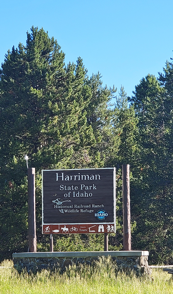 The welcome sign that might as well say: "Prepare for jaw-dropping scenery, possible wildlife encounters, and the urge to cancel your return flight."