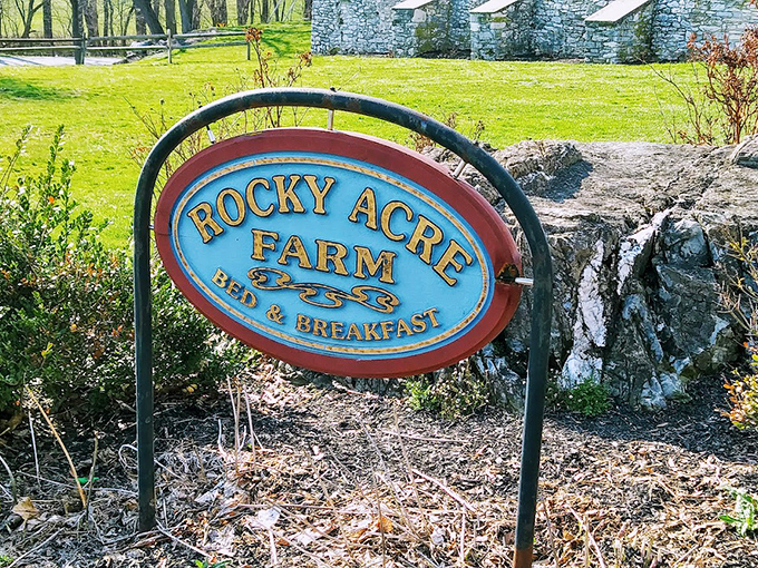 The weathered sign stands as a humble introduction to a place that delivers far more magic than its simple blue and gold lettering suggests.