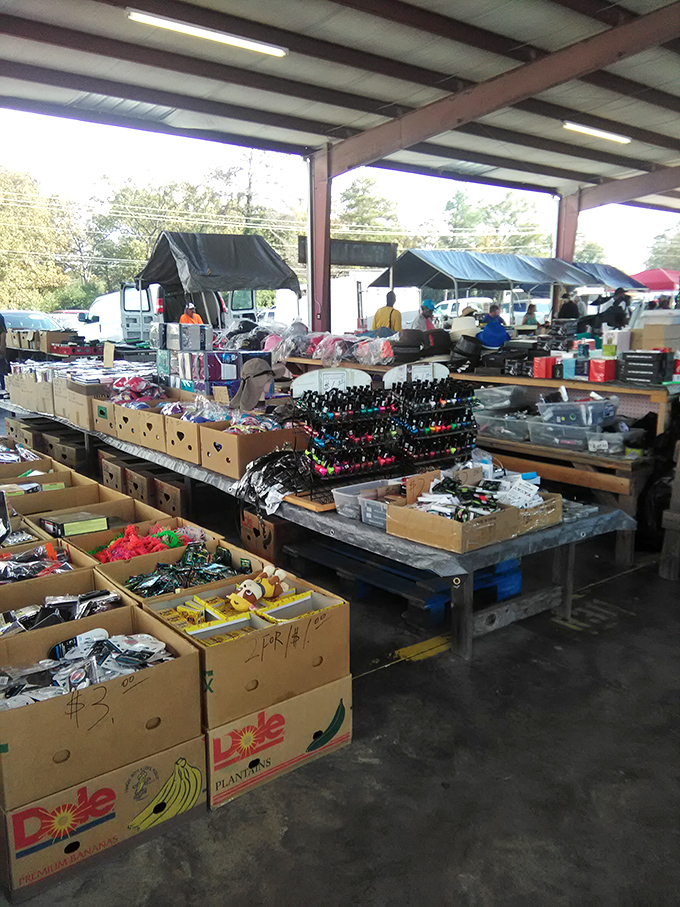 Cardboard boxes reveal their secrets&mdash;everyday treasures priced to move faster than free donuts at an office meeting.