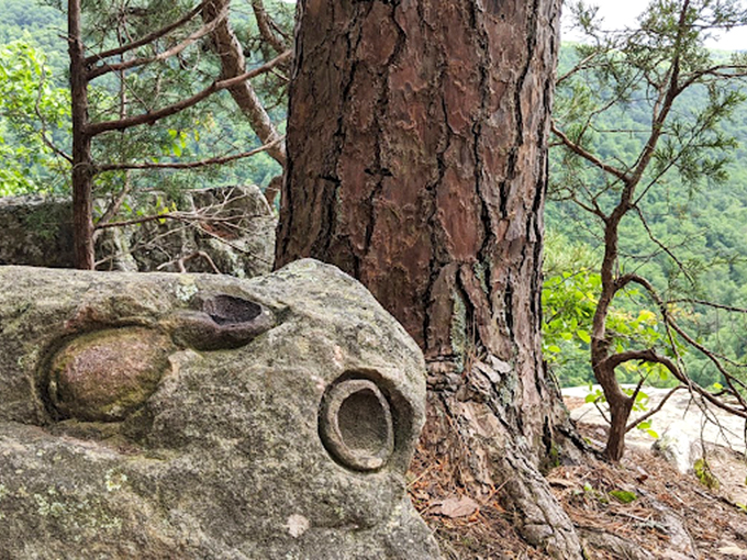 Ancient forces carved this whimsical face in stone, a reminder that Mother Nature had a sense of humor long before humans arrived on the scene.