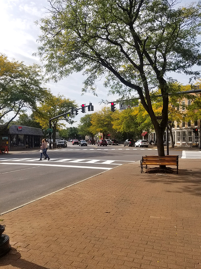 Tree-lined streets and brick sidewalks set the stage for culinary exploration, where each corner promises new flavor discoveries worth writing home about.