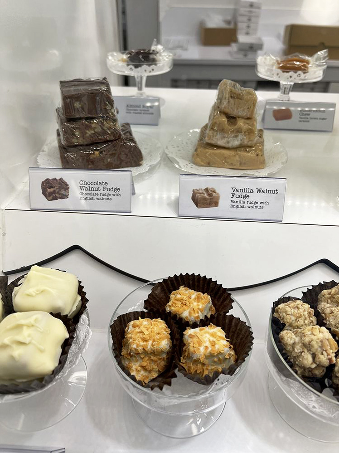 Fudge squared: The chocolate walnut version for sophisticates, vanilla for rebels. Both guaranteed to make dentists wince and taste buds rejoice.