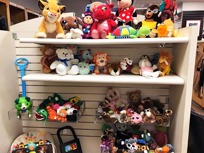 Stuffed animals enjoying their retirement community. These cuddly creatures are ready for their second act of being loved.