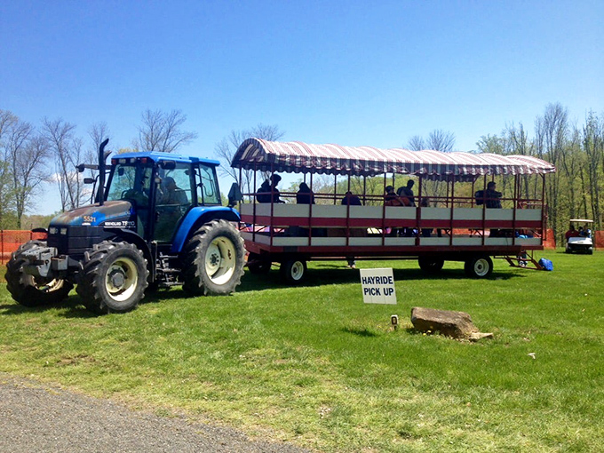 Country charm meets modern fun with hayrides around the estate. "Your carriage awaits," albeit with considerably more horsepower than the original residents enjoyed.