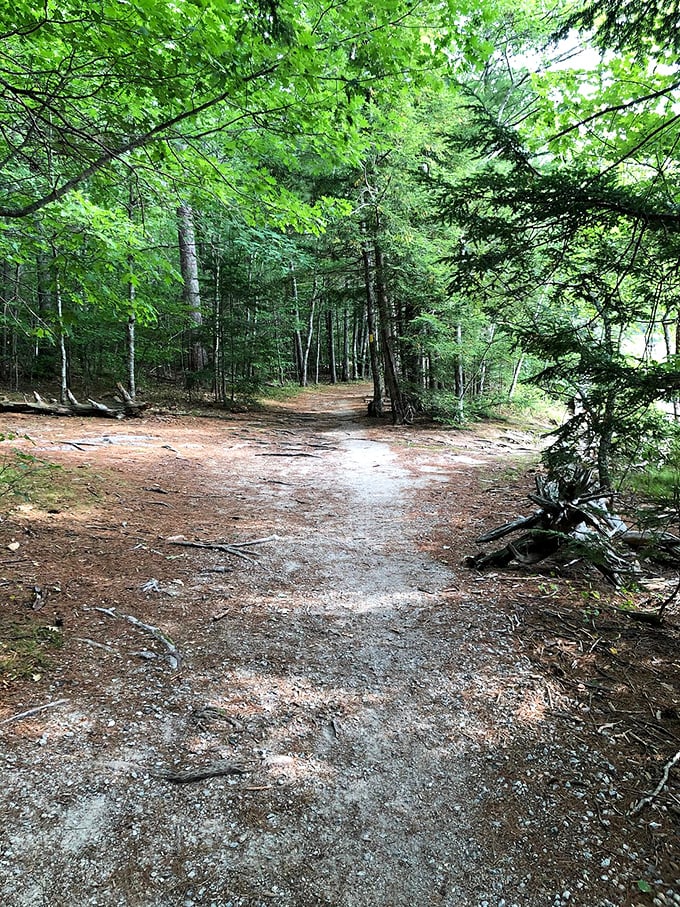 The trail beckons with promises of discovery around every bend&mdash;a gentle invitation to leave the digital world behind.