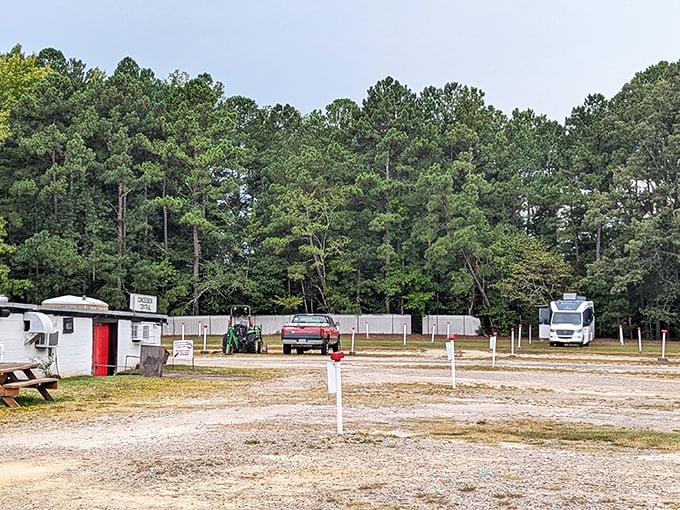 Surrounded by North Carolina pines, this clearing has witnessed generations sharing stories beneath the same stars.