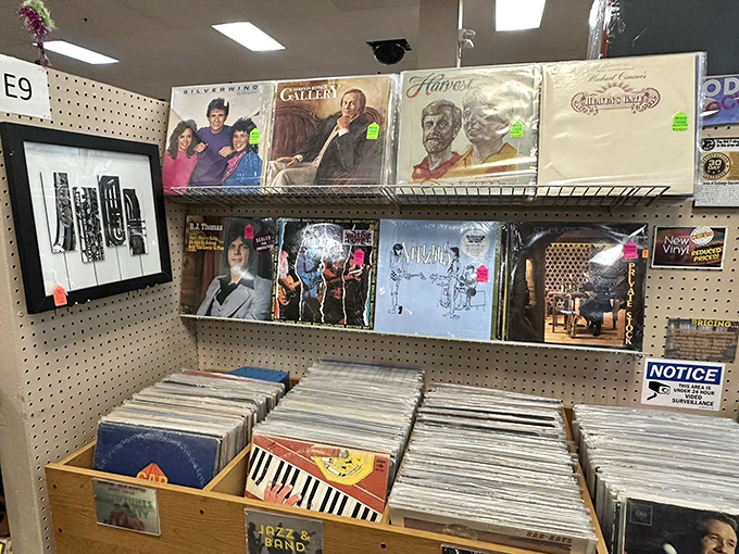 Vinyl treasure hunters, prepare to lose track of time! These record bins hold forgotten B-sides and album art from when music was tangible.