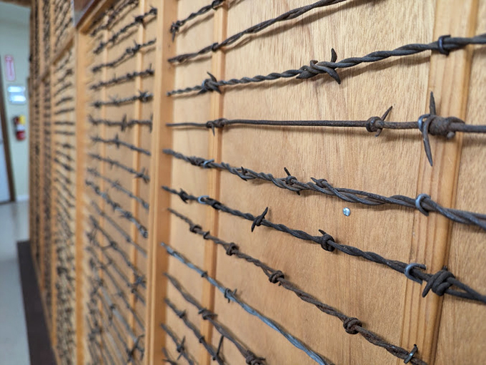 Up close with the stars of the show&mdash;each twist and barb representing someone's patented dream of a better fence. Industrial design before it was cool.