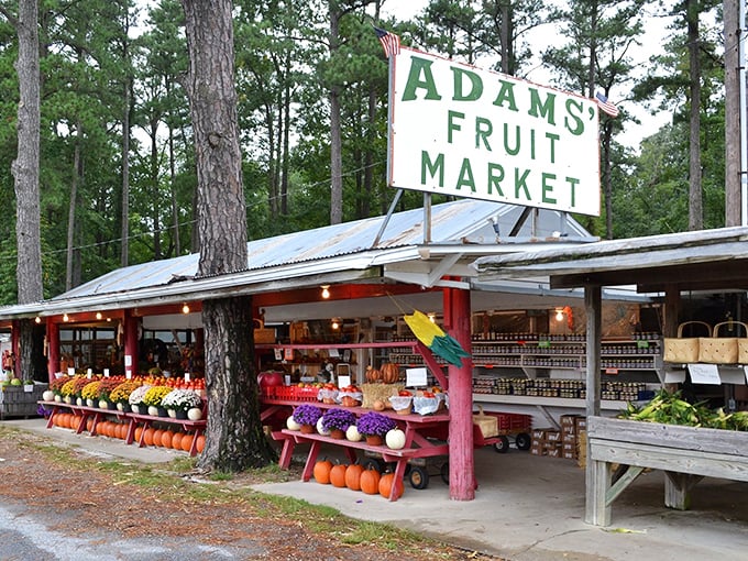Adams Fruit Market stands as a colorful reminder that the best ingredients don't need fancy packaging. Farm-to-table isn't a trend here &ndash; it's tradition.