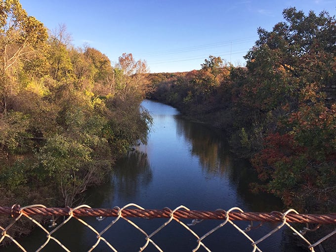 Fall paints the riverbanks with nature's most vibrant palette. Even the most dedicated phone-scroller can't help but pause and drink in this seasonal masterpiece.