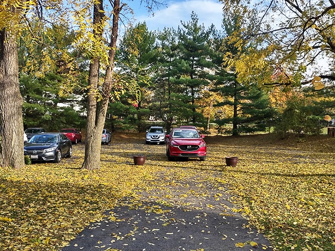Autumn's golden carpet provides the kind of parking experience that makes you forgive the fact that you still have to walk to your room.