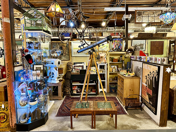 Where vintage telescopes meet modern enthusiasm. This scientifically-inclined booth proves that yesterday's technology still fascinates today's curious minds.