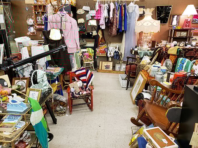 Each booth is its own mini-universe, curated by different vendors with distinct personalities and collecting obsessions.