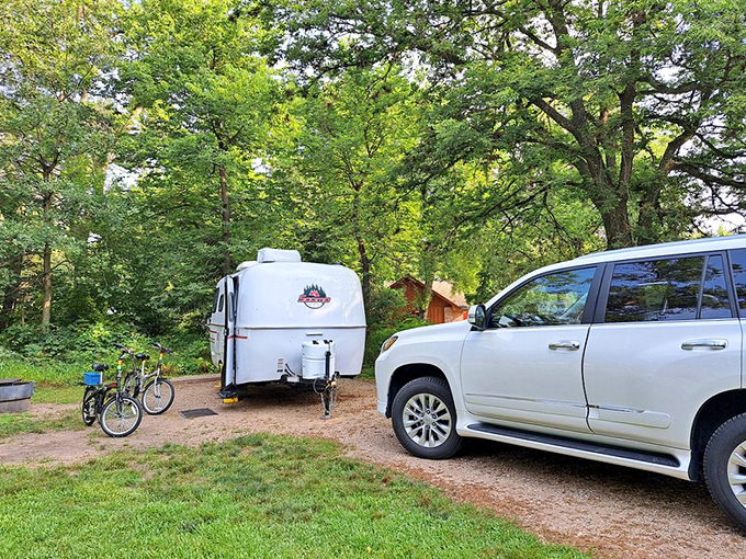 Camping nirvana achieved: where your morning coffee comes with a side of birdsong and your evening s'mores taste of freedom.