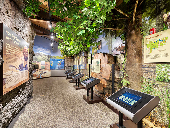 Interactive exhibits that make science feel like magic. The kind of place where kids forget they're learning and adults remember why they should.