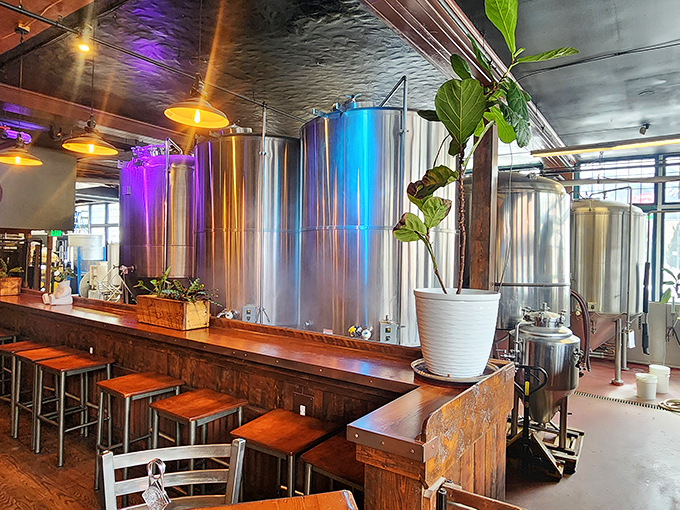 The brewing tanks aren't just equipment&mdash;they're modern-day cauldrons of joy. These gleaming vessels are where science and art collaborate to create liquid happiness.