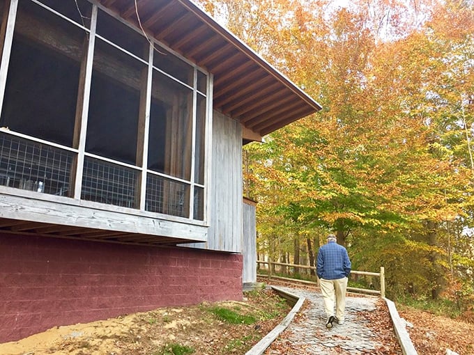 Fall transforms the park into a painter's palette of warm hues, as this visitor strolls toward a rustic cabin that looks like it was designed by Thoreau's interior decorator.