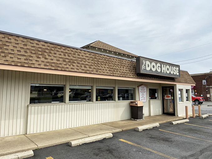 Like a humble hot dog temple, The Dog House's simple exterior belies the extraordinary culinary experiences happening within its walls.