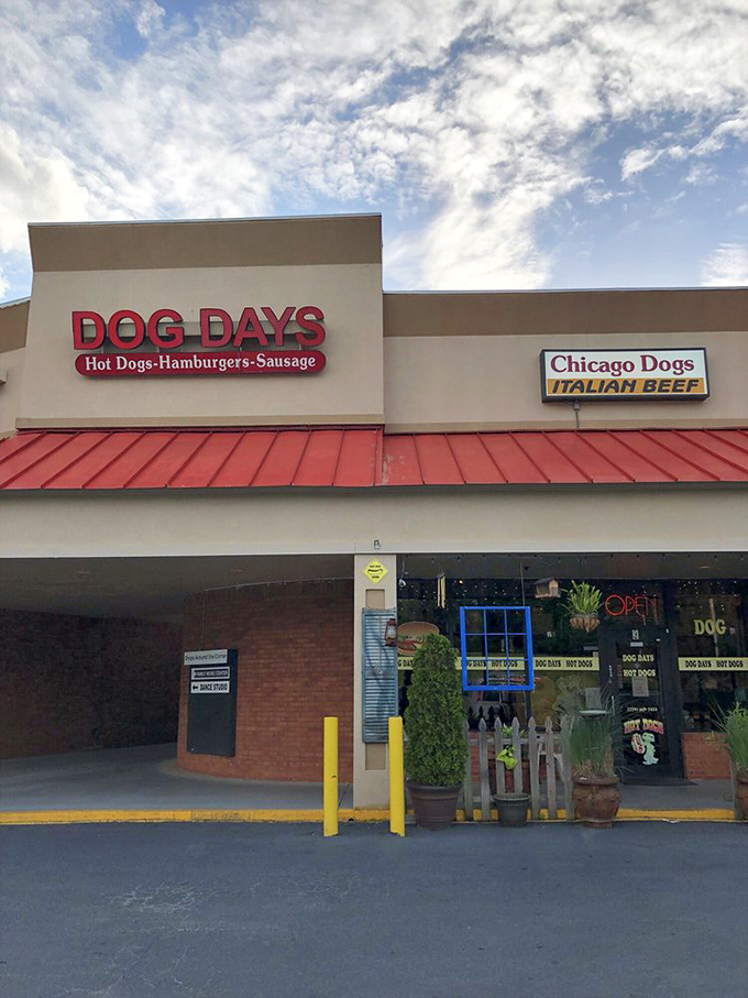 The red metal roof and prominent signage make Dog Days easy to spot. Like a lighthouse guiding ships to safe harbor, it guides the hungry to hot dog nirvana.