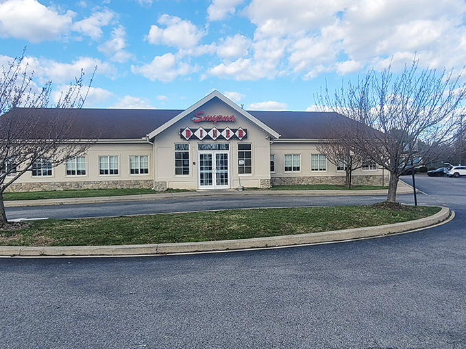 From this angle, the Smyrna Diner looks almost modest &ndash; until you realize the outsized role it plays in the community's daily life.